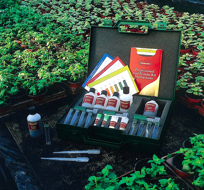 Send FREE Cookies to Deployed Troops | Food & Drink Samples | Freebies